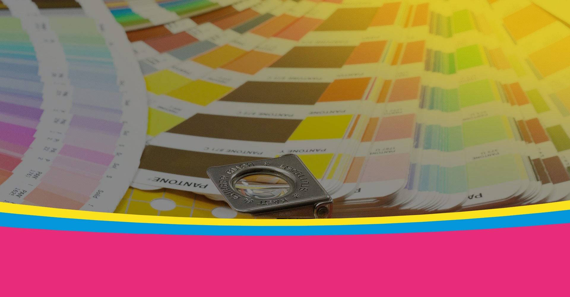 Max Color - Aracaju, SE